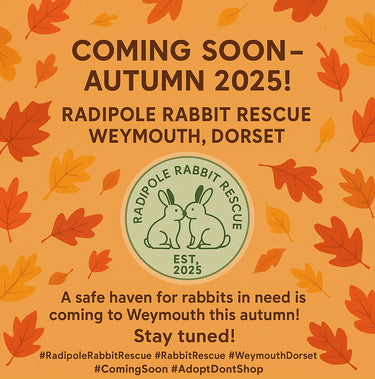 Radipole Rabbit Rescue