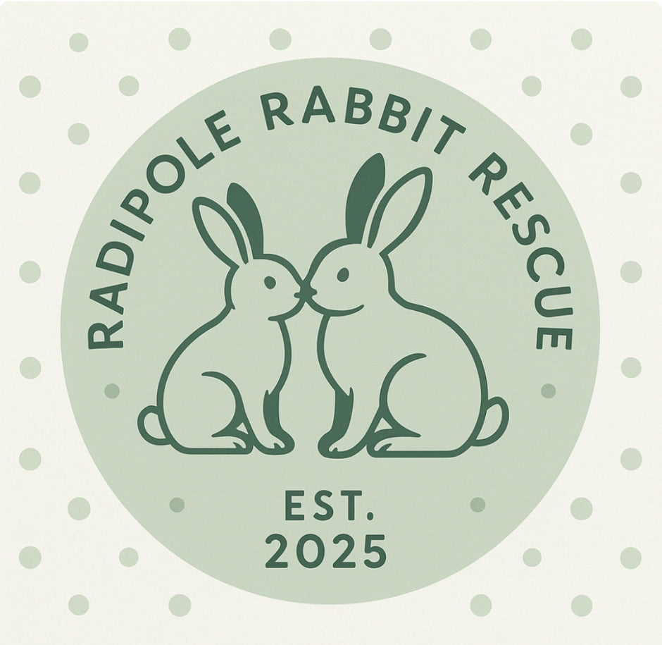 Radipole Rabbit Rescue